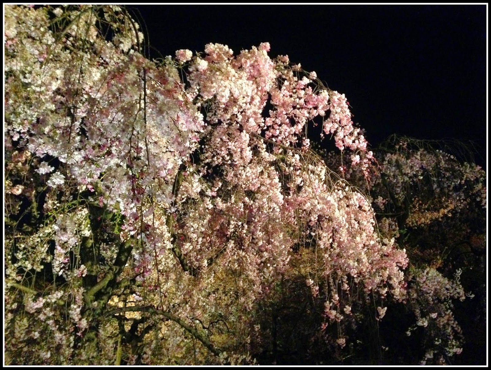 Taking5: Visiting Kyoto: A Night at Nijo Castle