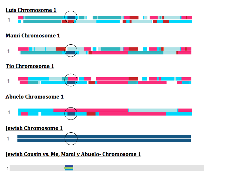 Establishing Ashkenazi Connections – BoricuaGenes