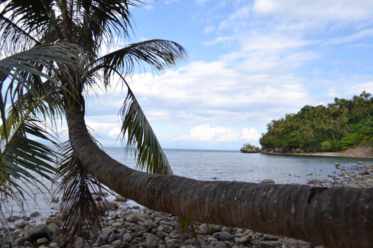 Katagbaoan Beach Farm - My Haven In Tagbaobo, Samal - Gana Explore!