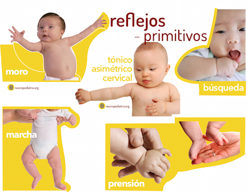 ETAPAS DEL DESARROLLO HUMANO (0 A 11): ETAPA DE LA PRIMERA INFANCIA