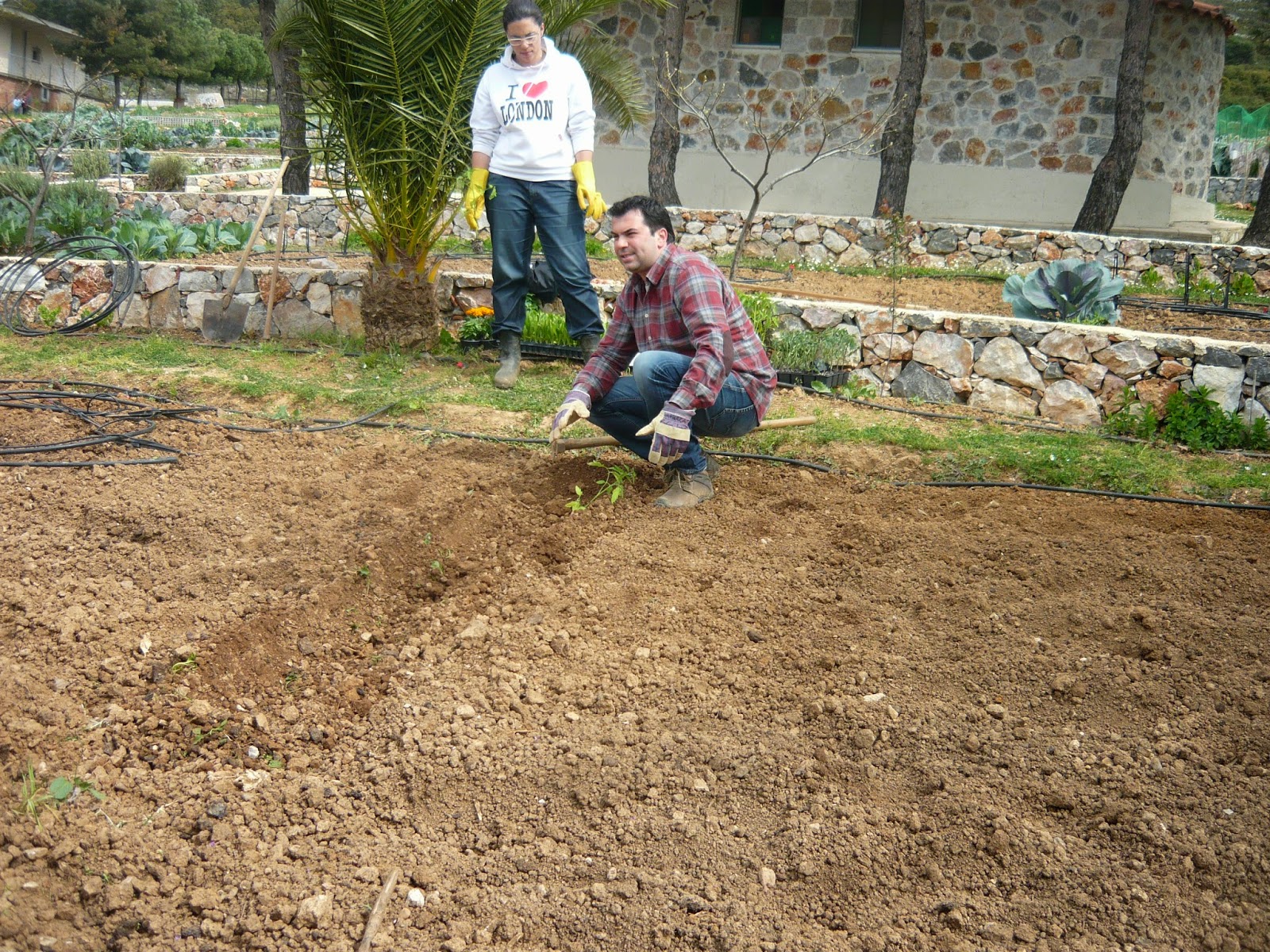 ΣΧΟΛΙΚΟΙ ΛΑΧΑΝΟΚΗΠΟΙ : ΟΙ ΚΗΠΟΙ ΤΩΝ ΣΧΟΛΕΙΩΝ ΤΗΣ Δ/ΣΗΣ Β/ΘΜΙΑΣ ΕΚΠ/ΣΗΣ ...