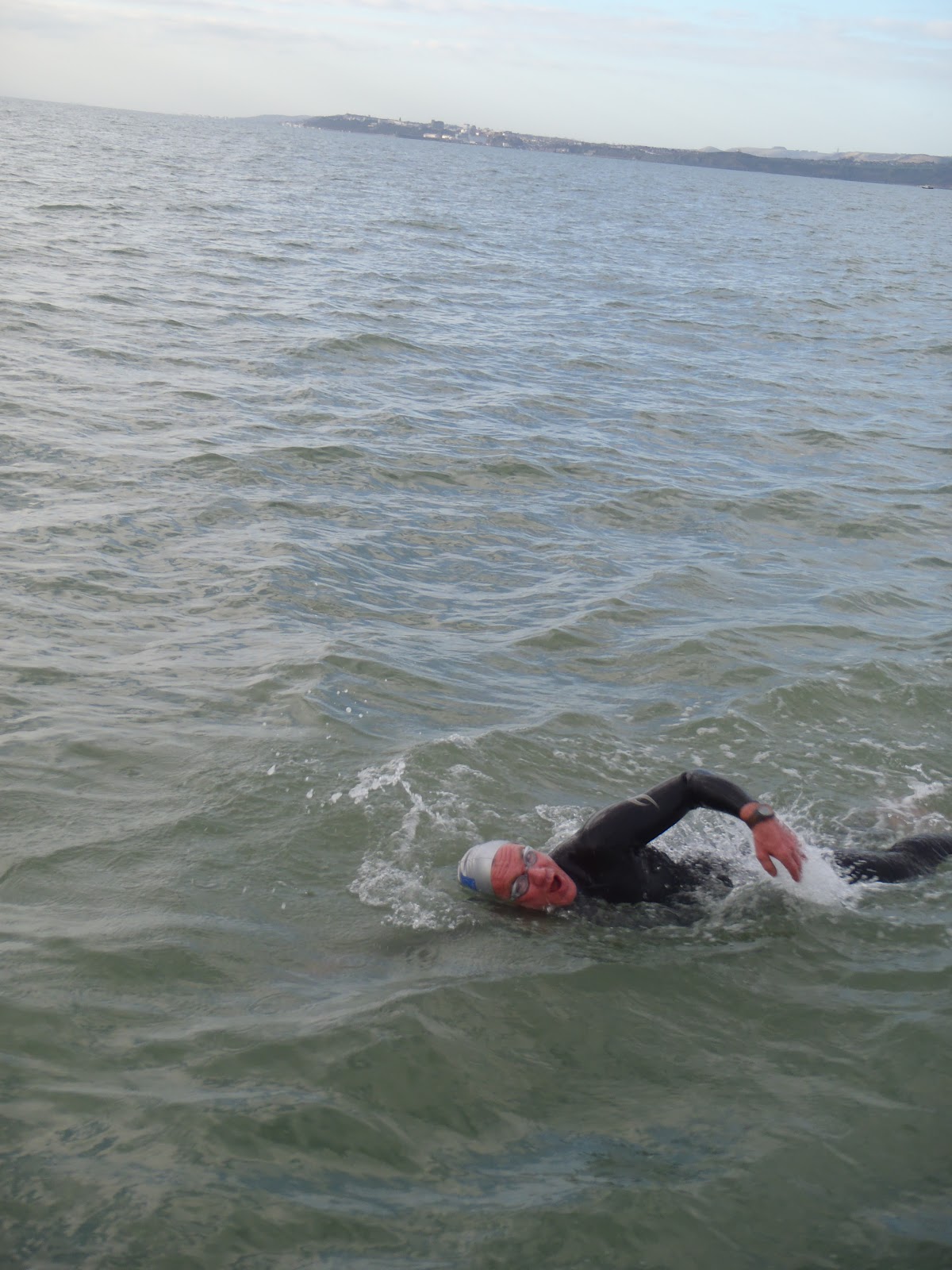 Sea Leopard Charter: January 2012