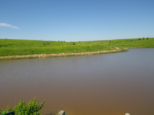 The Lost Grove Lake Mapping Project