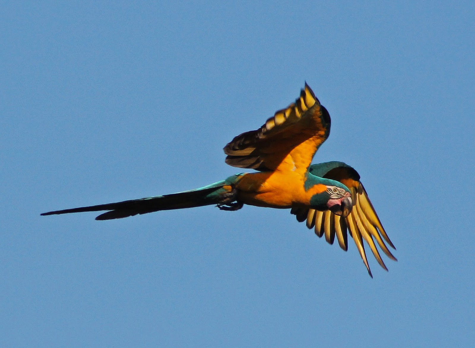 Nick's Adventures Bolivia Tours