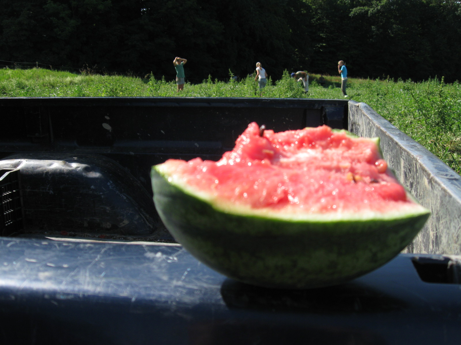 Mighty Food Farm: Watermelon Madness!