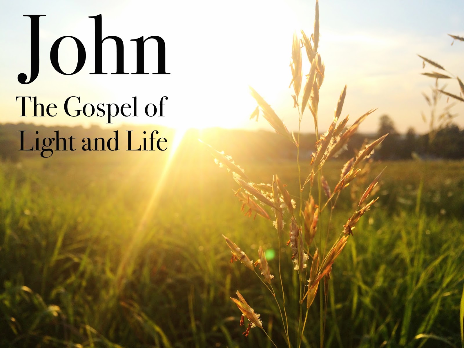 Andy At Faith John The Gospel Of Light And Life Word Made Flesh andy-at-faith-john-the-gospel-of-light-and-life-word-made-flesh