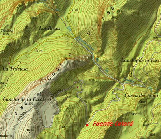 Villacarrillo y su Biodiversidad: Fuentes de Villacarrillo (I)