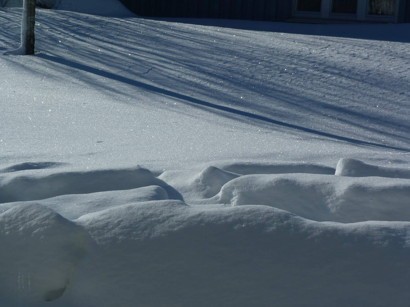 My Nature Photography: Snow Dunes