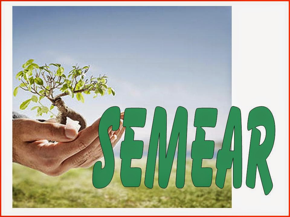 Mensageiro Kid: Pré-Adolescentes - Lição 5: Uma pequena semente