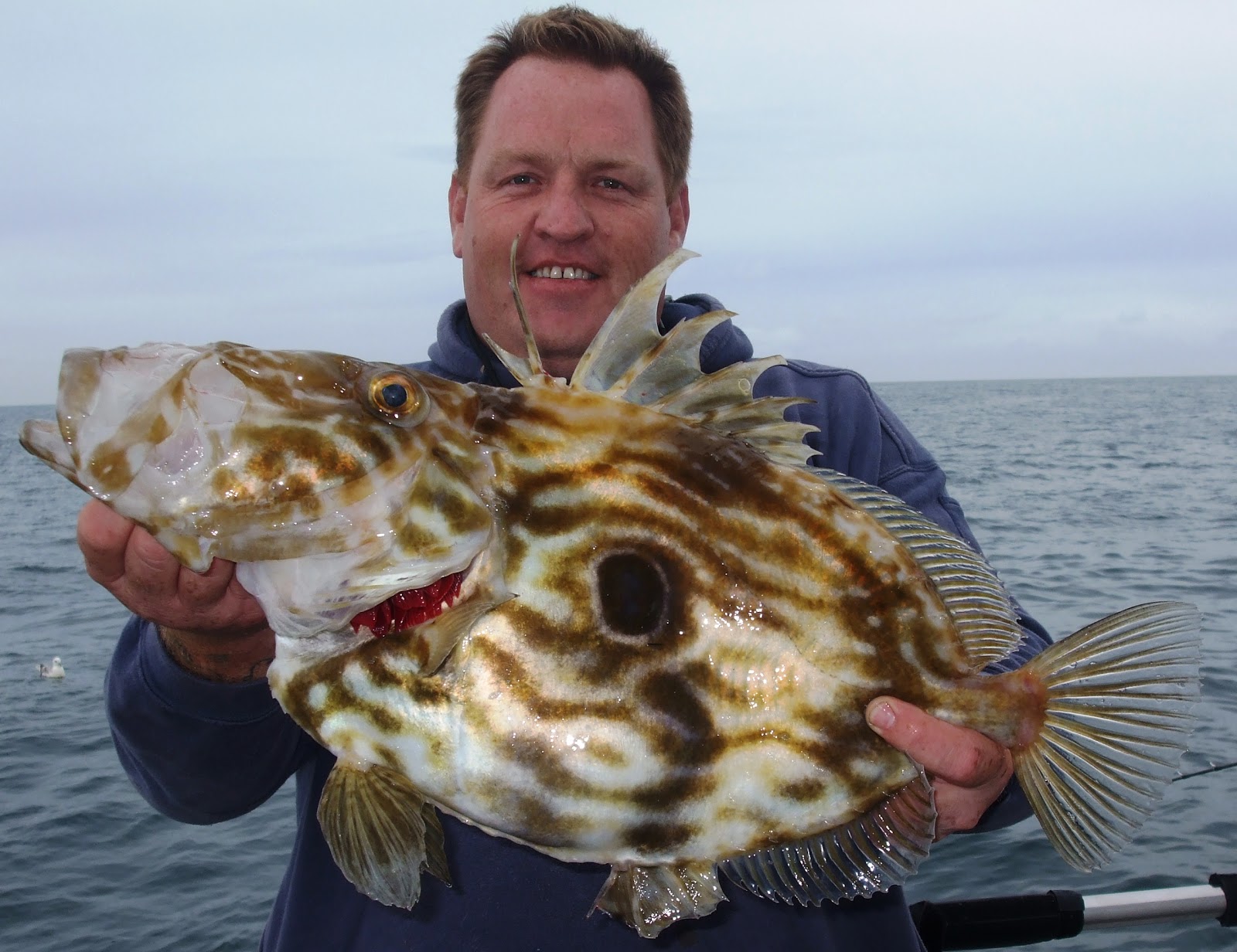 Catch Reports: Fish of the Month Awards 2011