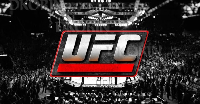 dkorinfest: UFC - Painel festa infantil banner display toten mdf