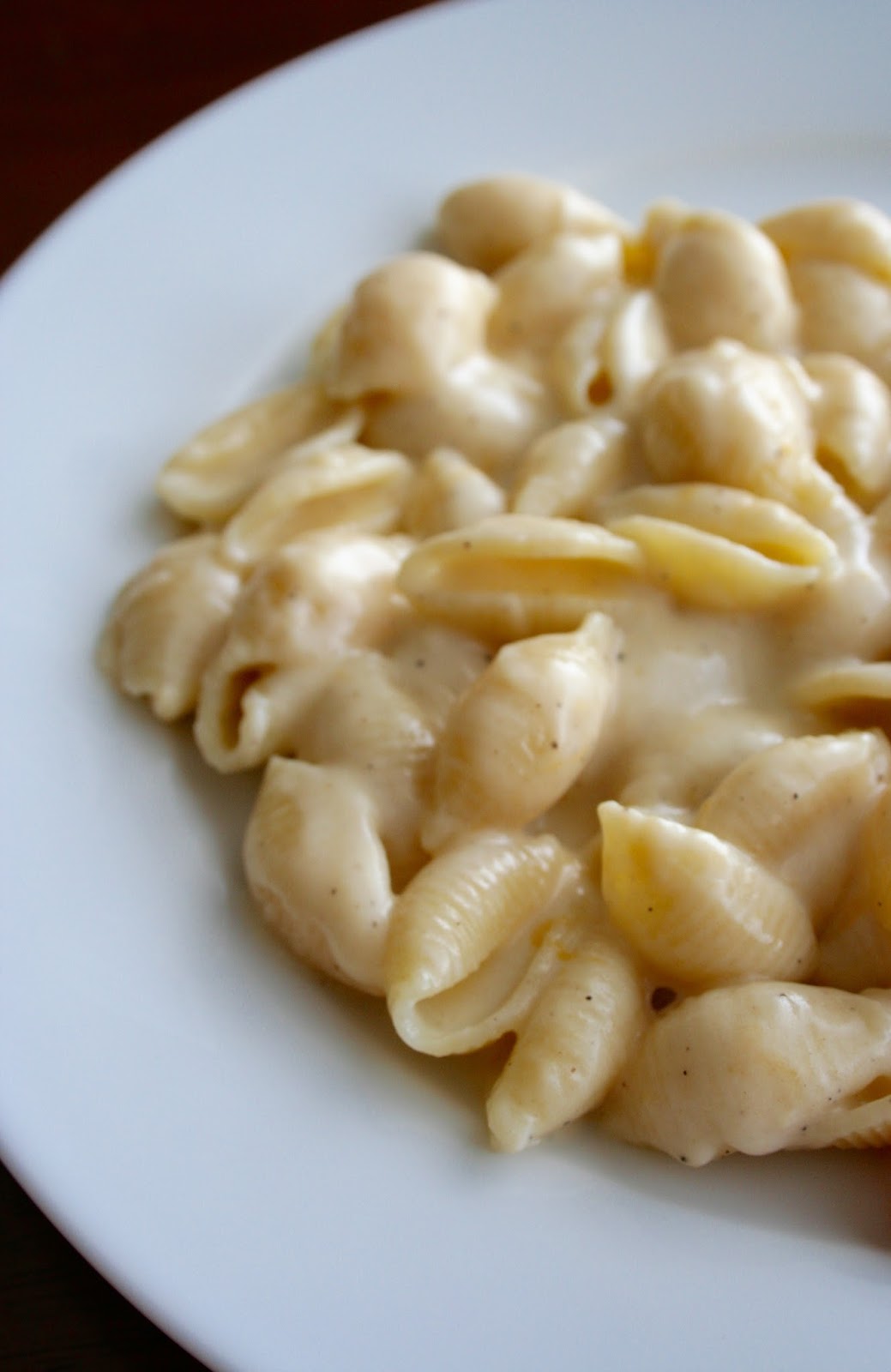 Easy Stovetop Shells and Cheese