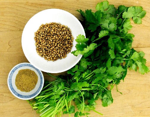 Wat the health WTH: Medicinal Uses of CORIANDER