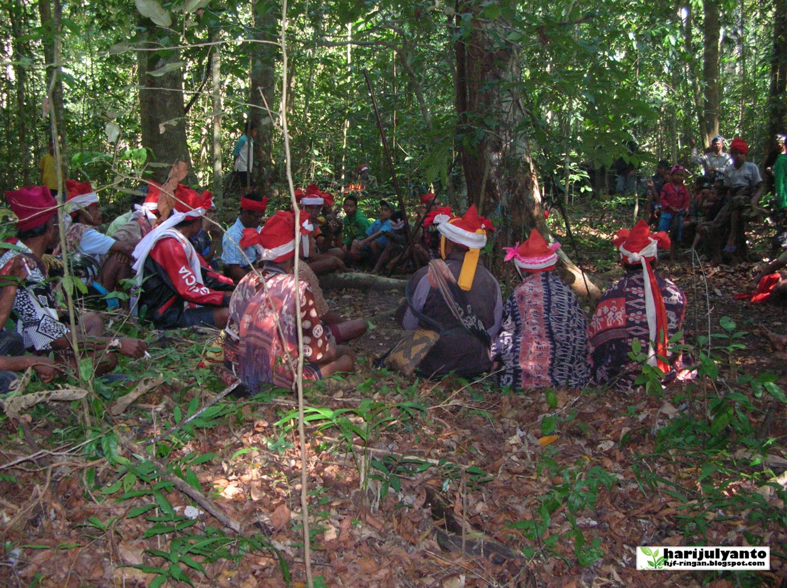 Ringan: Persembahan di Hutan Ritus ( Ritual Purung Taliang Marapu )