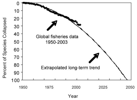 Global Issue: Species Biodiversity: Research on the Loss of ...