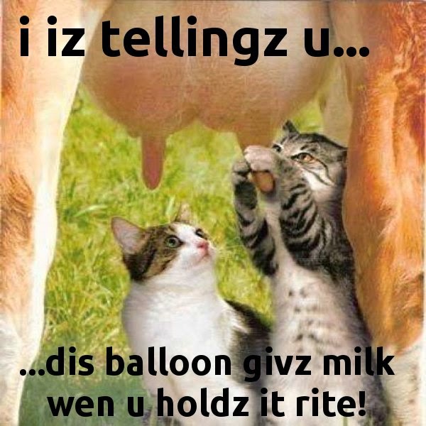 Maze Op Art: Cat Balloon Maze N' Memes