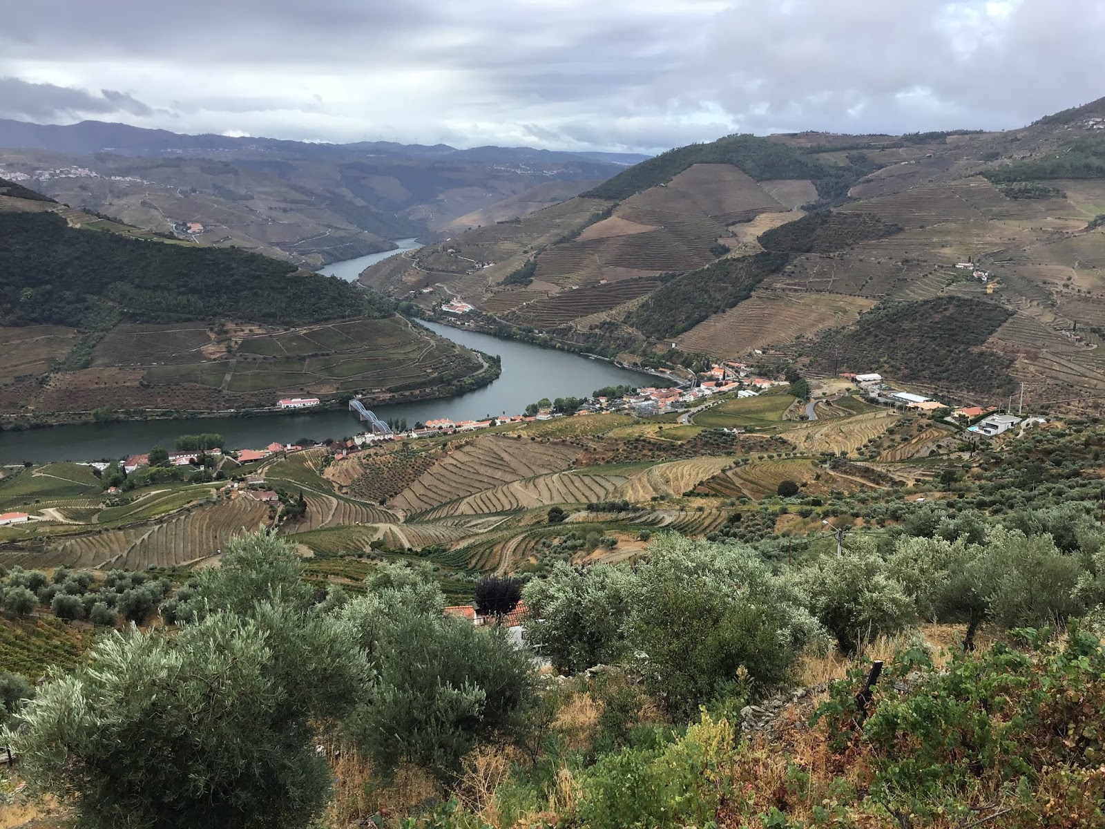 The Passionate Foodie: The Douro River Region: Beauty & Thriving Amidst ...