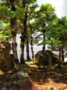 Reduce Footprints: Change The World Wednesday (#CTWW) - Protect The Ocean