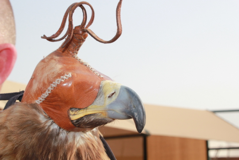 Arabian Tales and Other Amazing Adventures: Weekend Excursion from ...