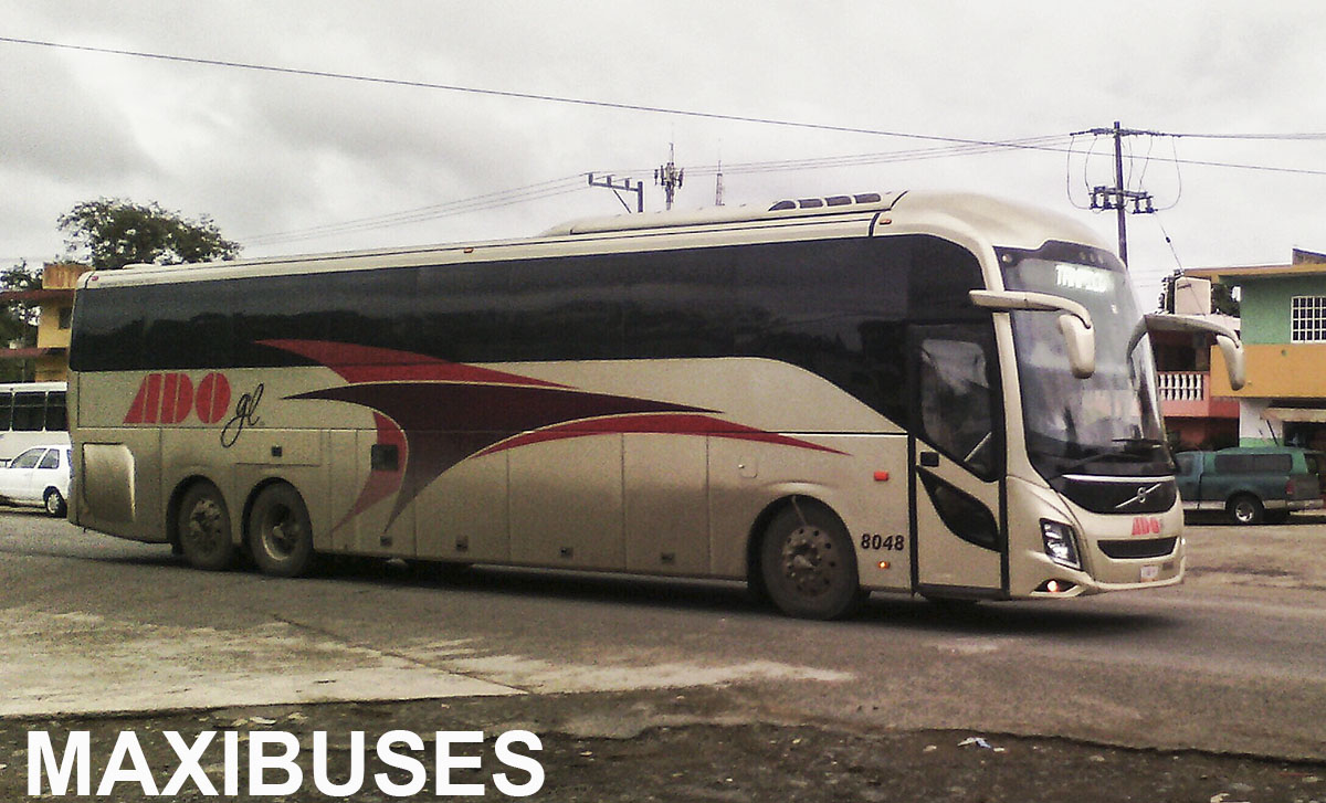 MAXIBUSES: ADO GL