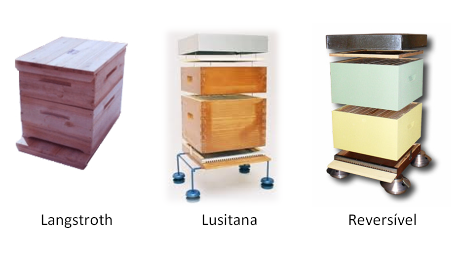 CORONA APICULTORES: COLMENA LUSITANA