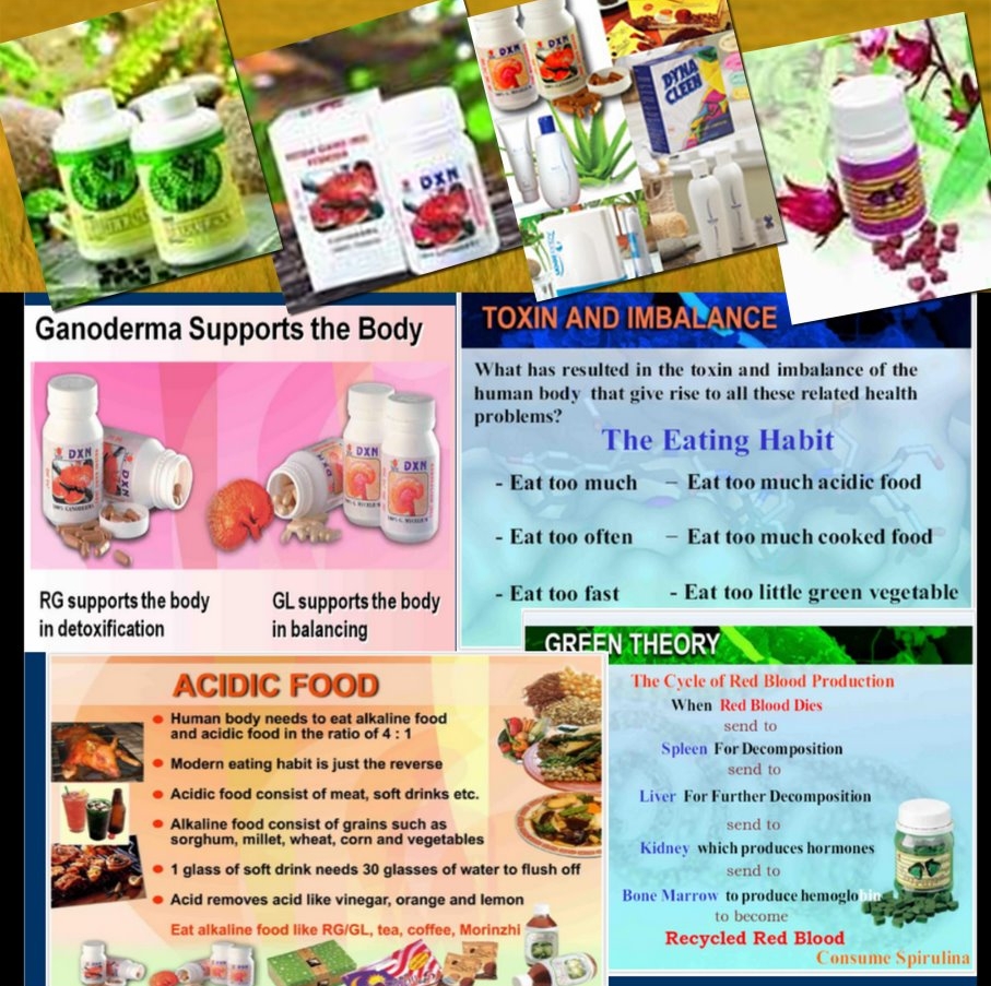 Welcome to the DXN Fans Blog