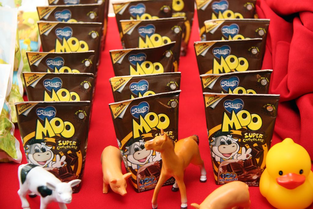 Mommy Bares All: Behind the Scenes of Mateo's Farm-themed First ...