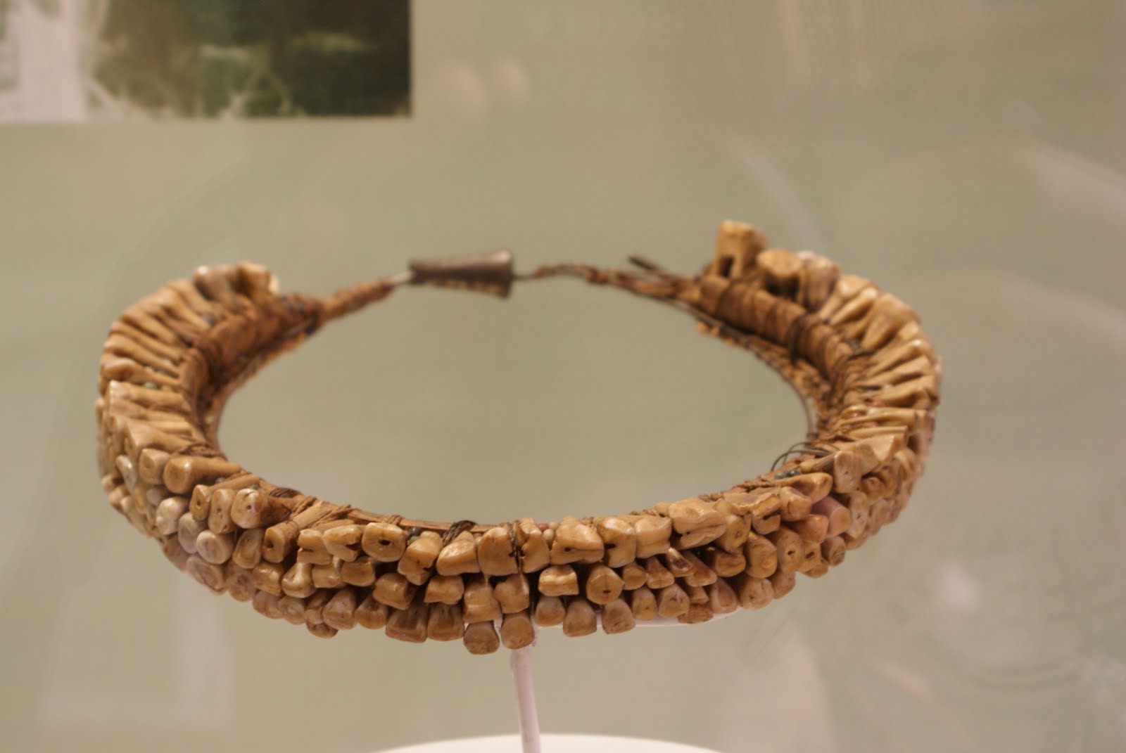 TYWKIWDBI ("Tai-Wiki-Widbee"): Necklaces made from human teeth