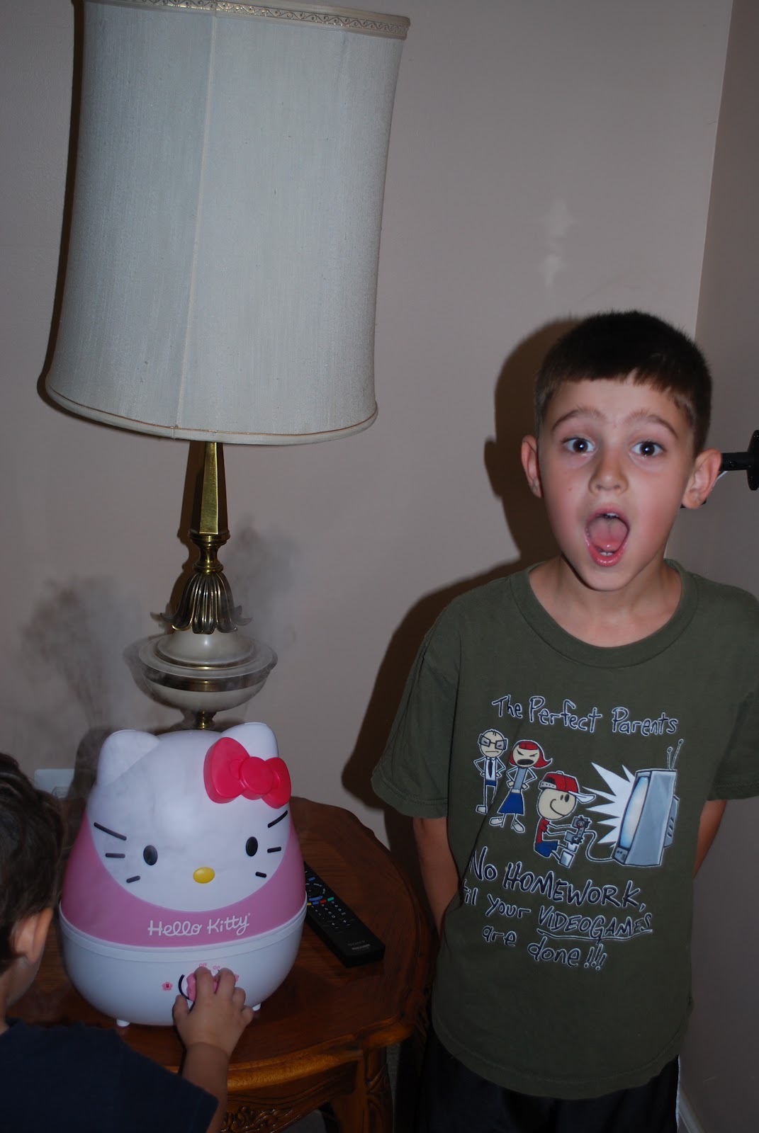 Clipping Money: Crane Ultrasonic Cool Mist Hello Kitty Humidifier ...