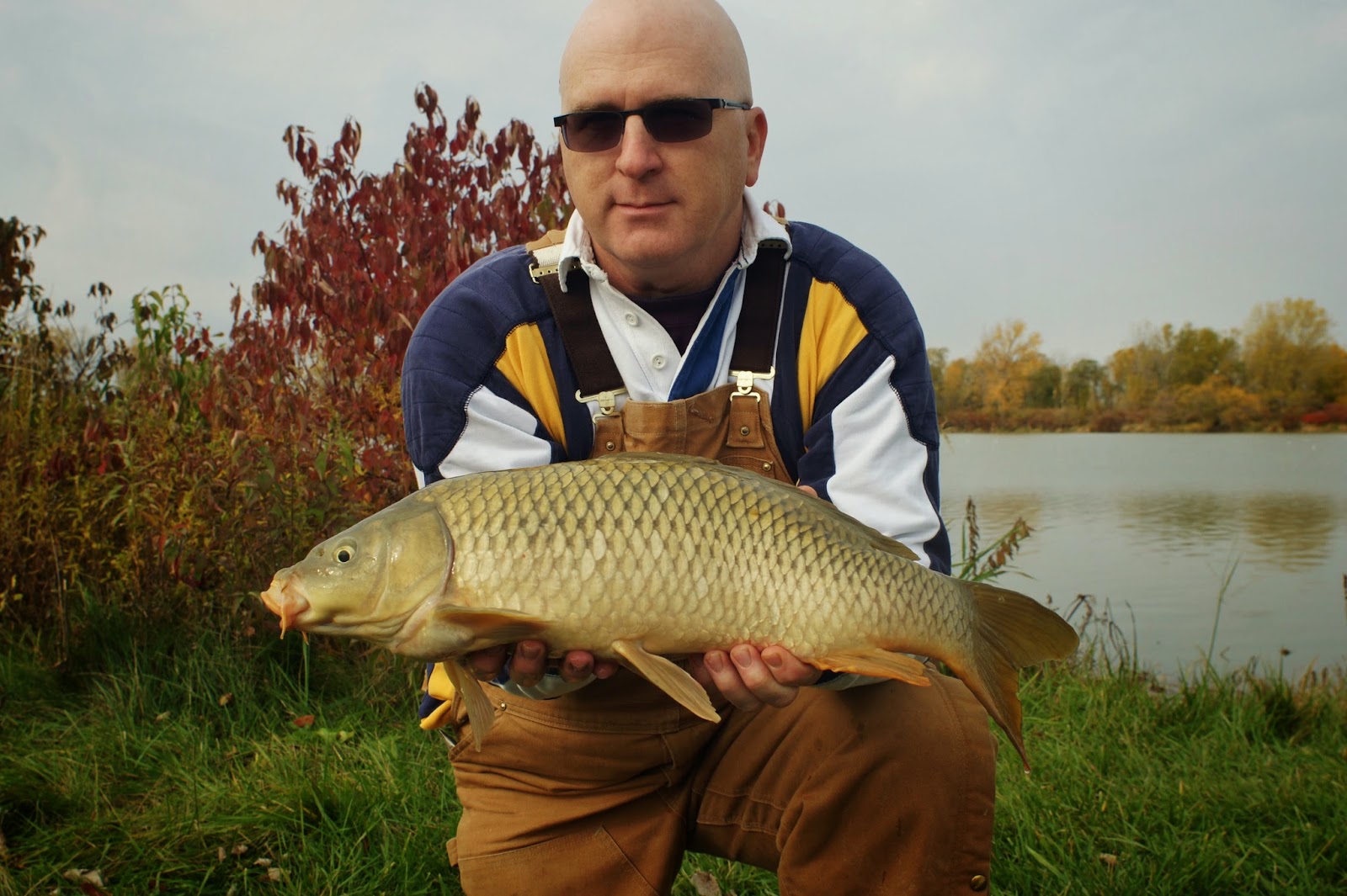 Michigan Carp Fishing Blog: A Great Session Near Lake Erie - Great ...