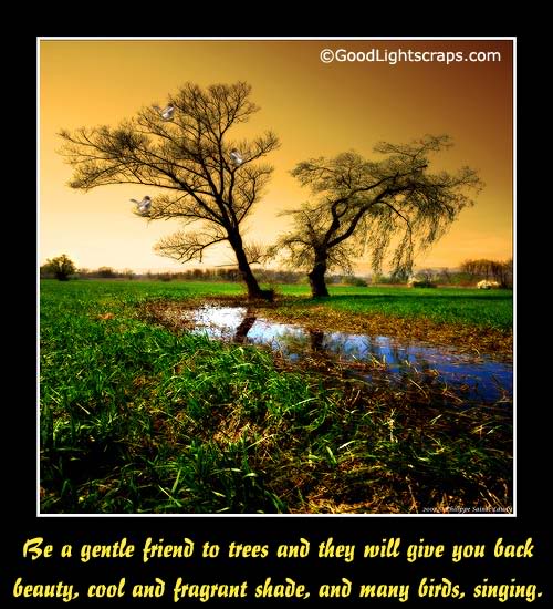 wallpaper zh: Nature Pictures