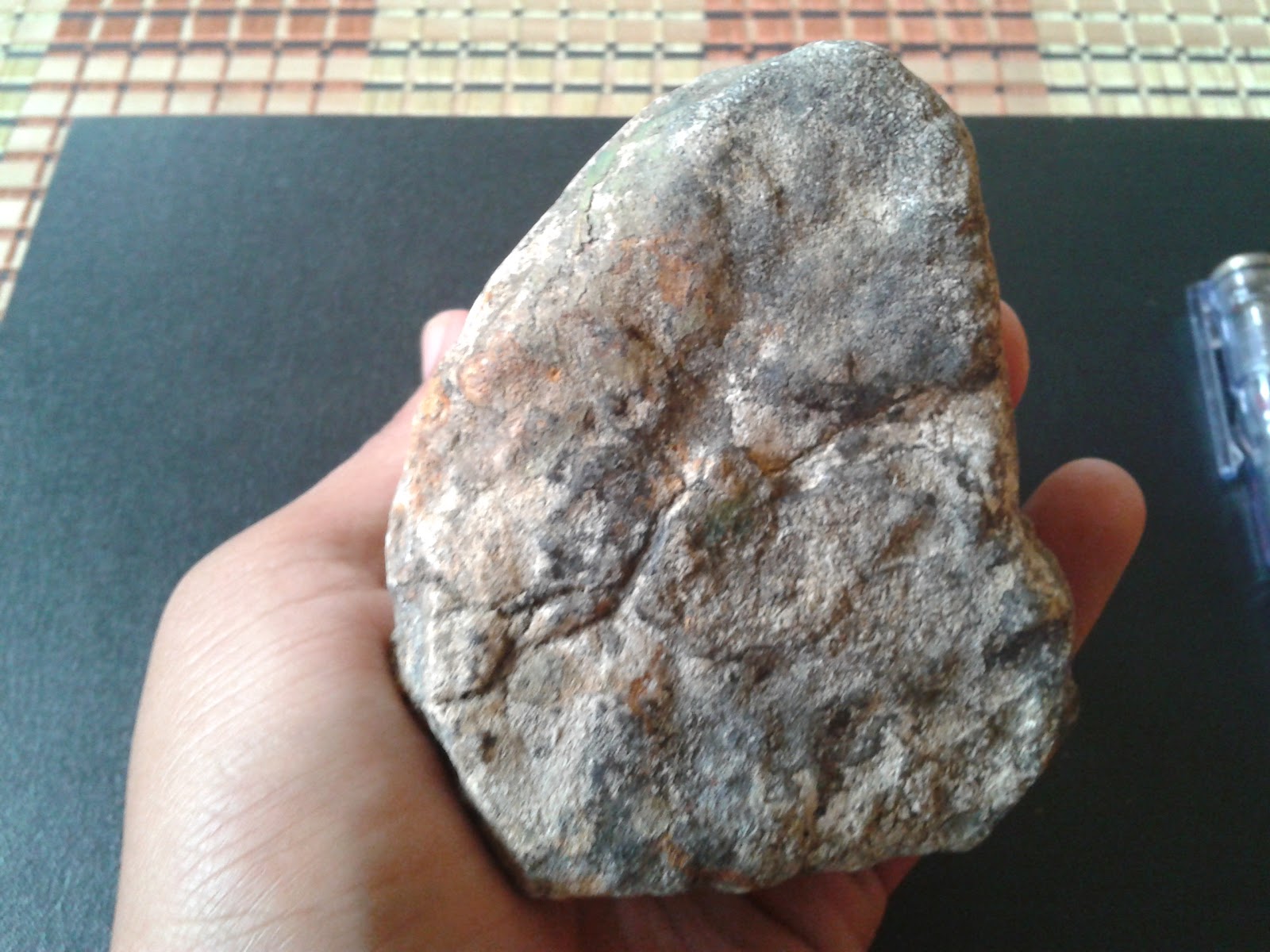 MISTIK 707 CORNER: FOSSIL GAJAH ZAMAN PRASEJARAH DAN SUMBU BADAK JADI BATU