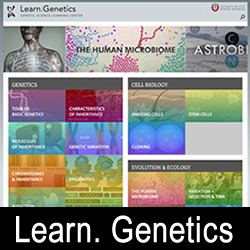 Teacher Librarians: Bridging Theory and Practice: Website Review: Learn ...