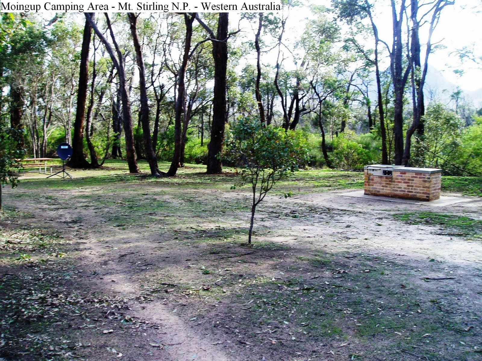 Nannapop West Australia Return to Main Site: 13th July 2011 - Moingup ...