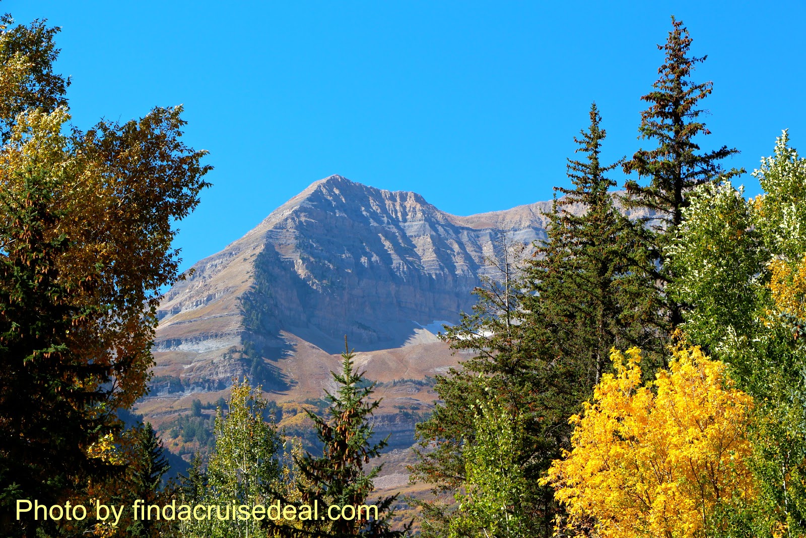 Carl's Cruise Capers and Travel Tips