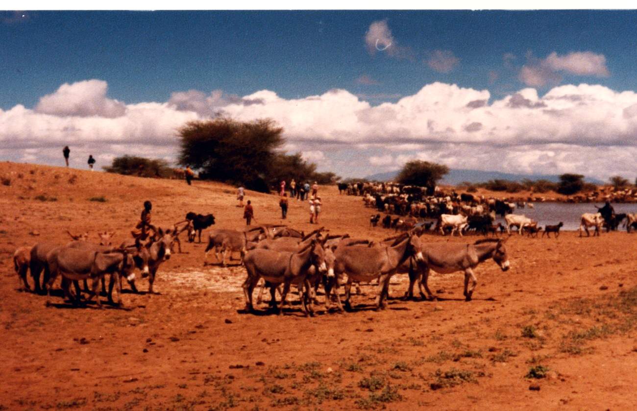 Beautiful Sceneries of Kenyan Republic: The Lake Turkana In Turkana County