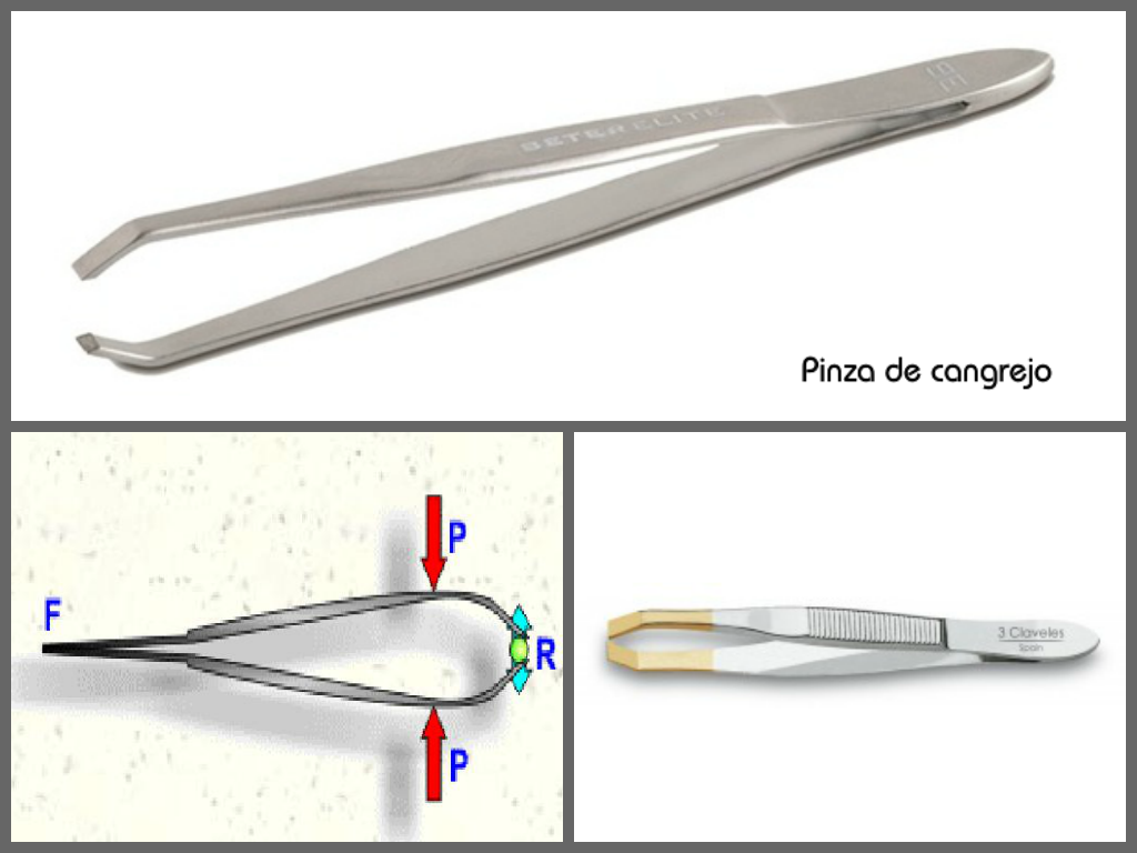 Pinzas de depilar...¡¿para qué sirven?! - Red Lipstick
