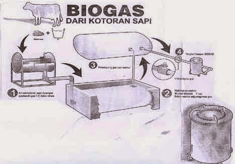 PANDUAN PRAKTIKUM BIOGAS KOTORAN SAPI - MAHKOTA SAINS