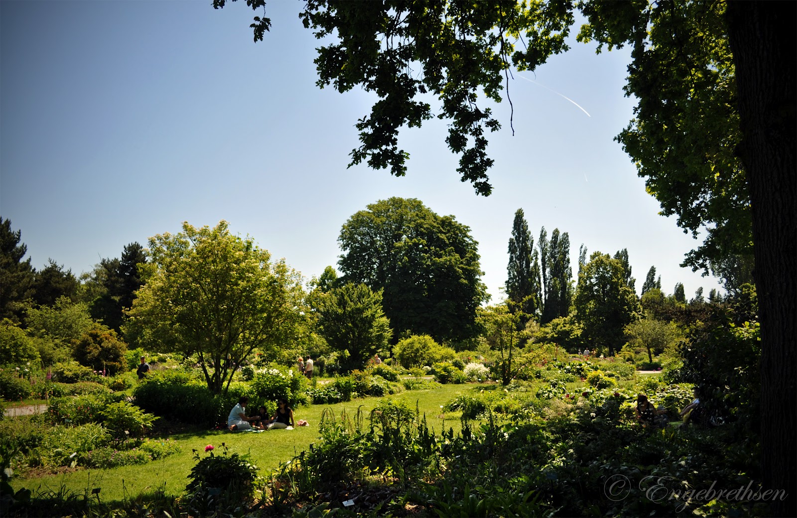 Parc Floral de Paris | Anna Engebrethsen