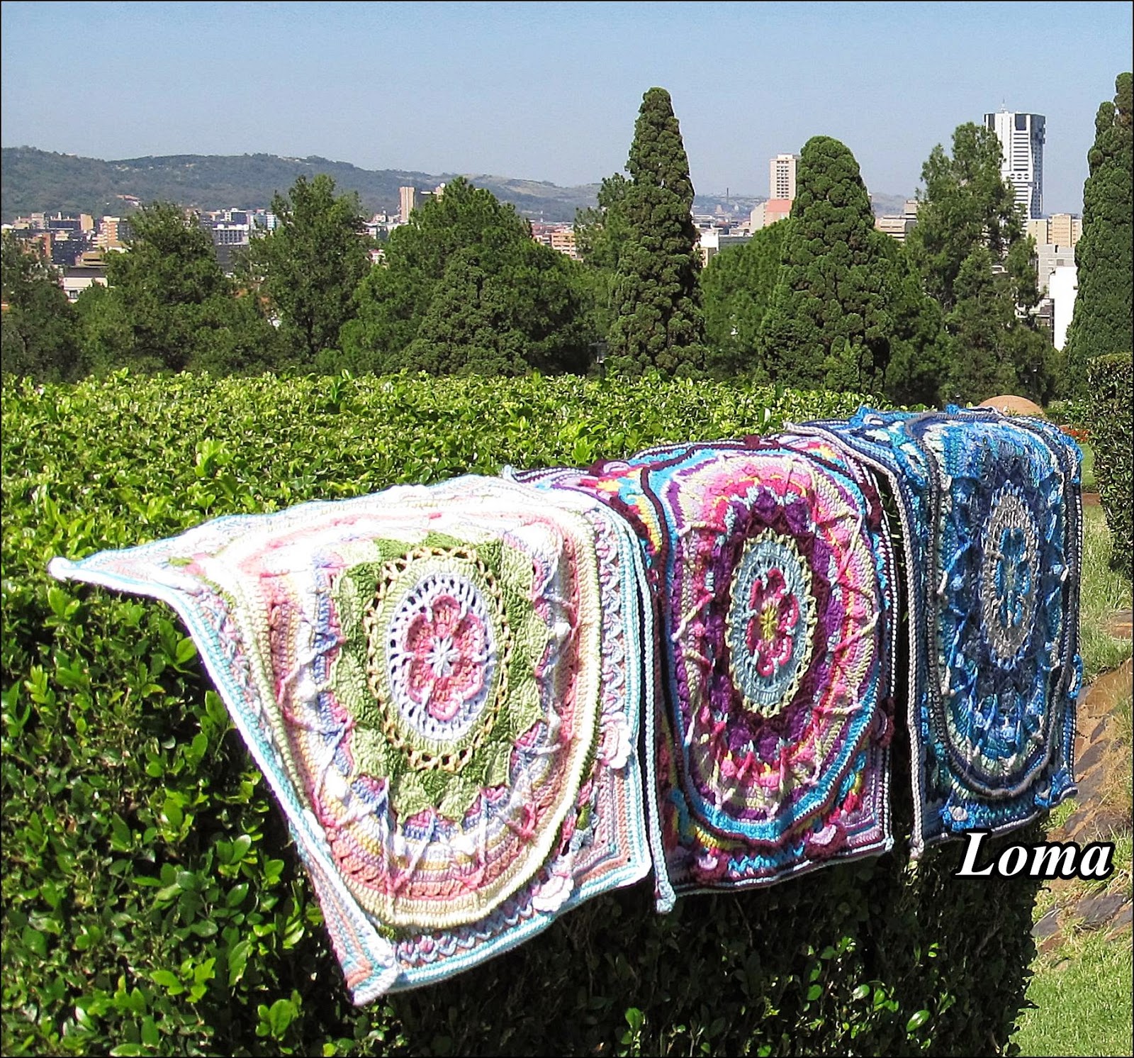 Haak-en-stekie: A universe of Sophies