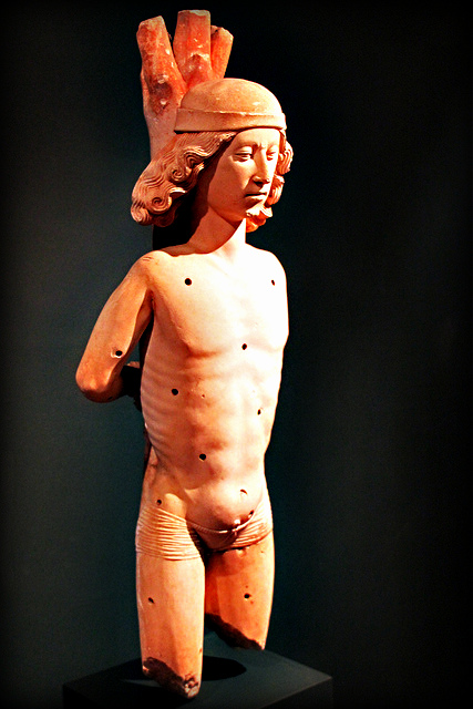 Eunuchs Body Structure