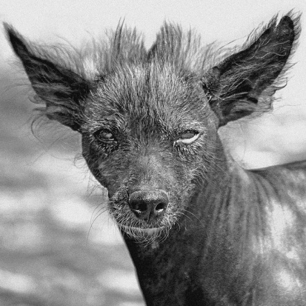 Historia a la 6ta Potencia : LA CULTURA AZTECA