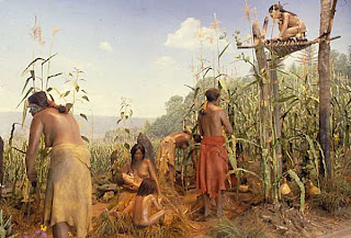 Zachary Hill: The Iroquois Nation