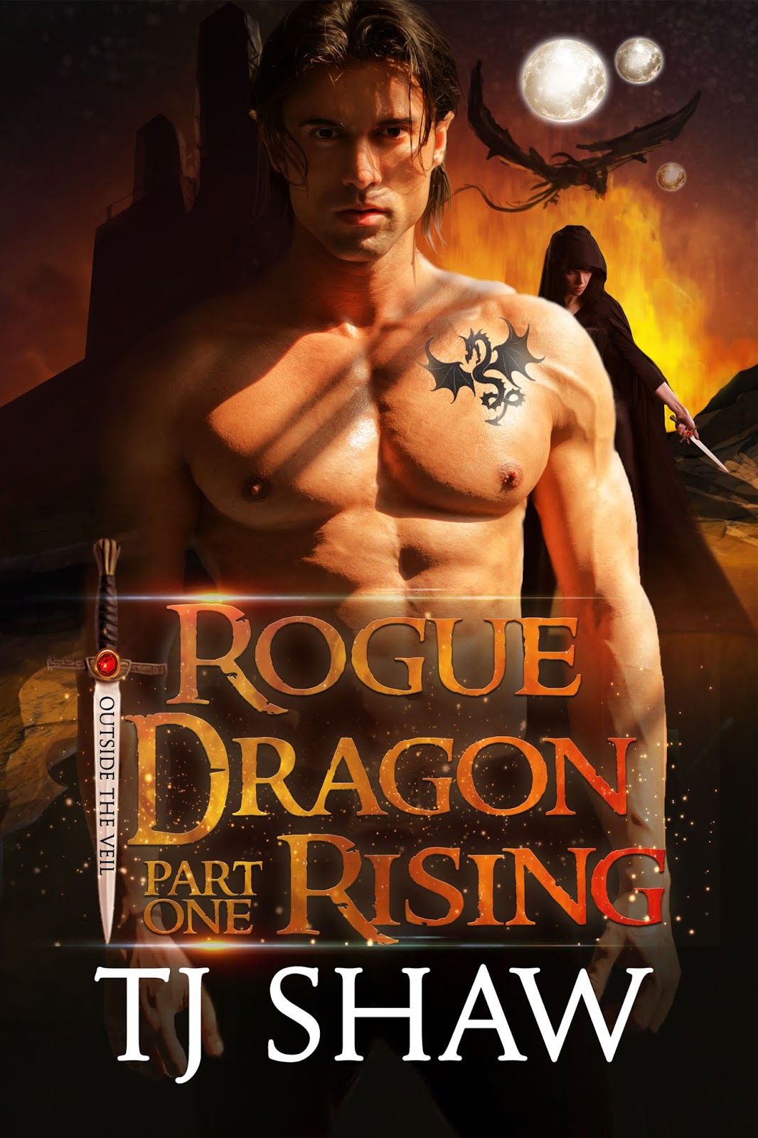 Our Town Book Reviews: Rogue Dragon Rising