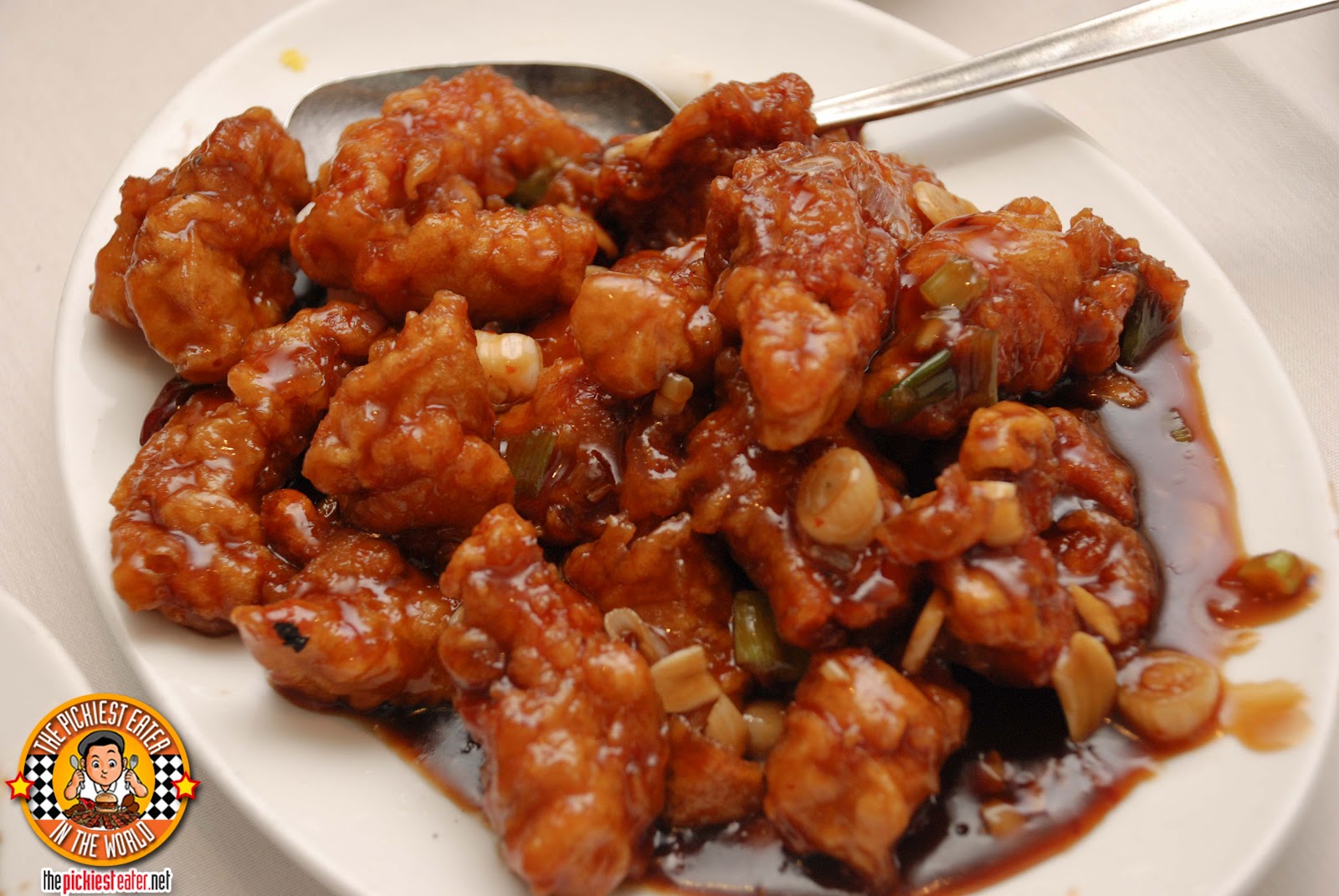 THE PICKIEST EATER IN THE WORLD: A BITE OF THE BIG APPLE: THE ...