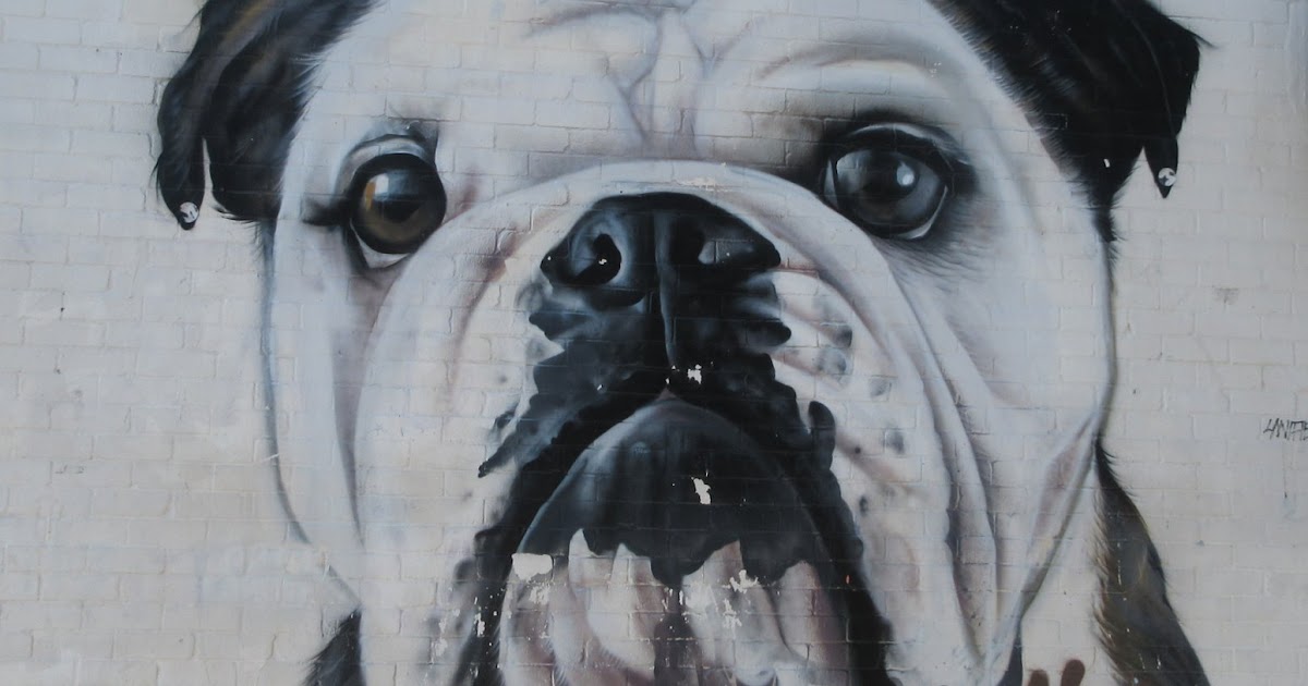 COLOURFULWORLD: Monday Mural - The bulldog