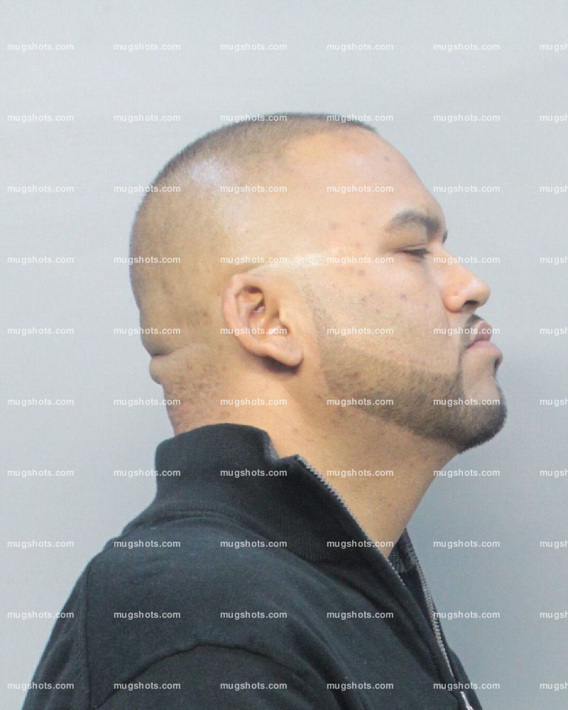 Miami Dade Florida Mugshots: Mugshot Joe Luis Rodriguez