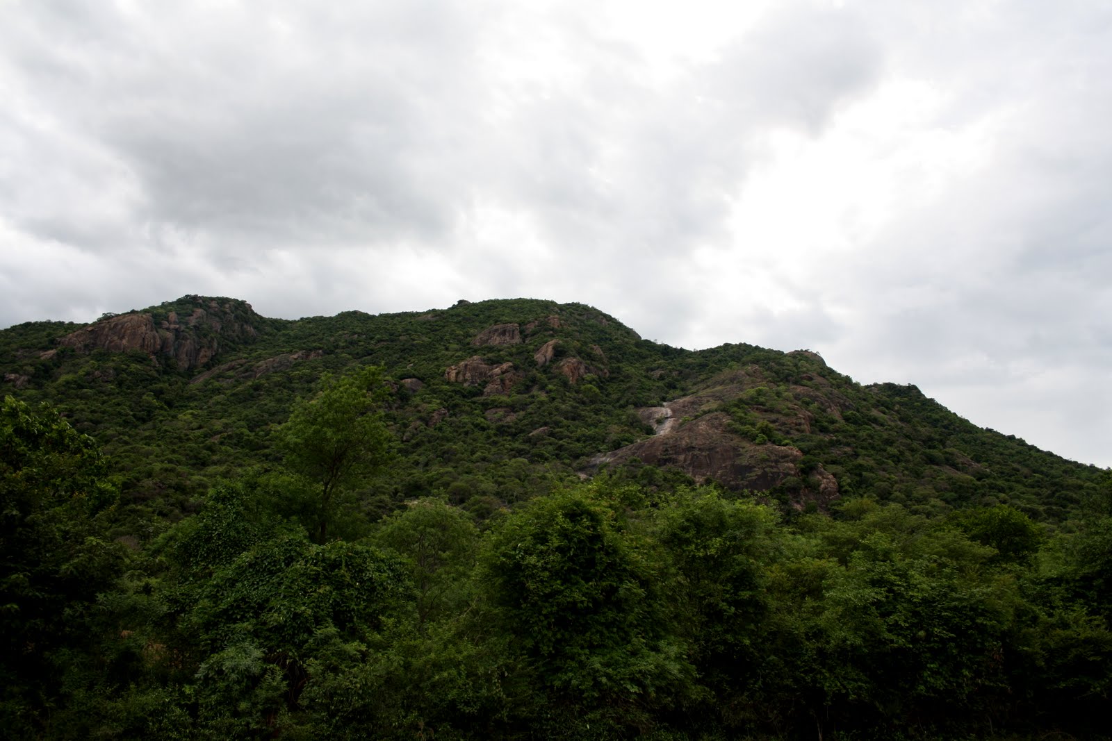 Tamilnadu Tourism: Javadi Hills, Thiruvannamalai