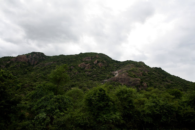 Tamilnadu Tourism: Javadi Hills, Thiruvannamalai