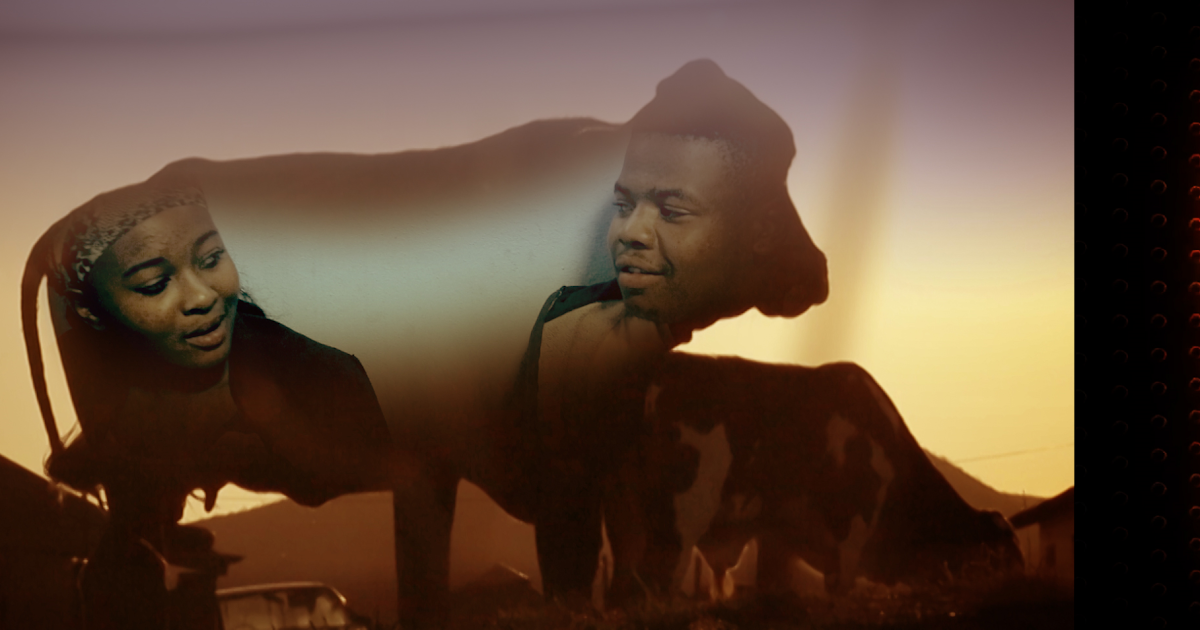 TV with Thinus: Moja Love adds talk show, TMI with Phil, and teen ...